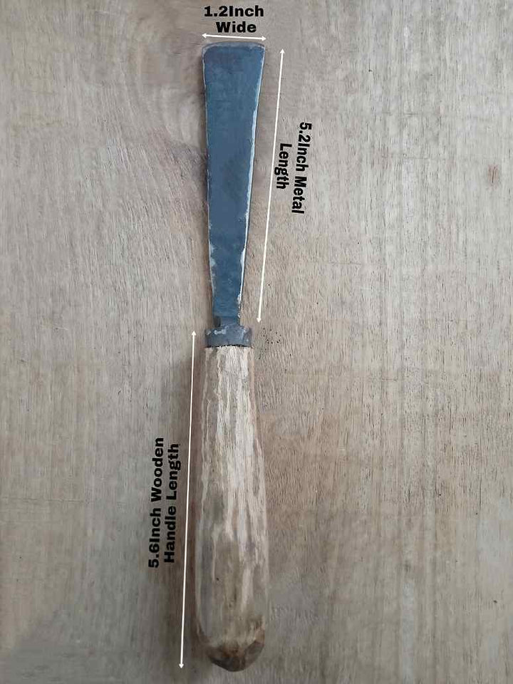 Products – seed and plant